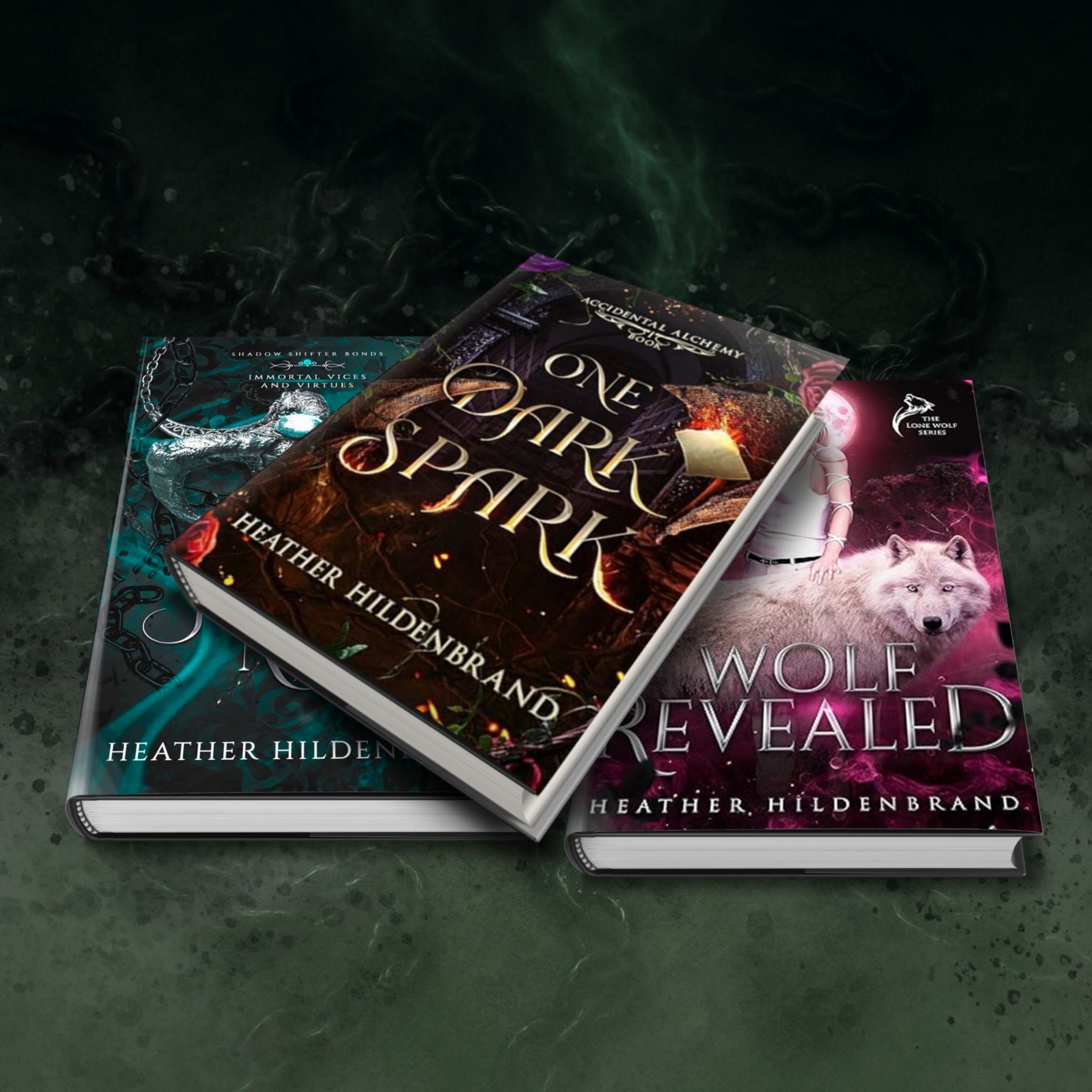 Hardcover – Heather Hildenbrand Books