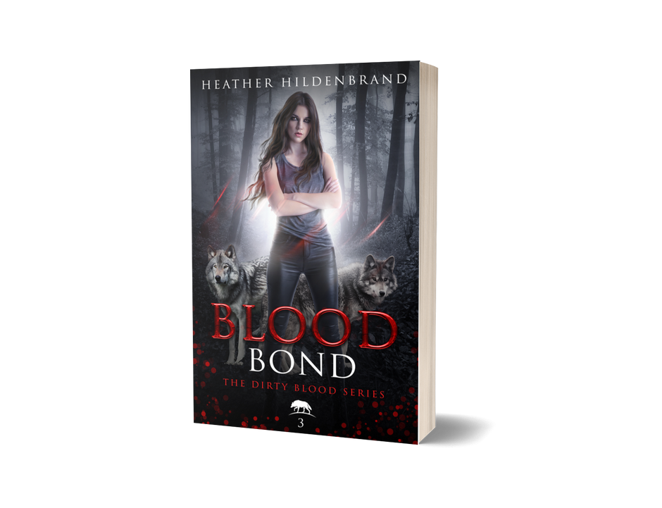 Dirty Blood Series – Heather Hildenbrand Books