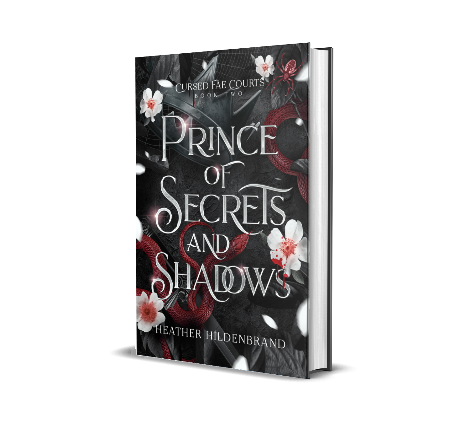 Prince of Secrets & Shadows: PRE-ORDER – Heather Hildenbrand Books